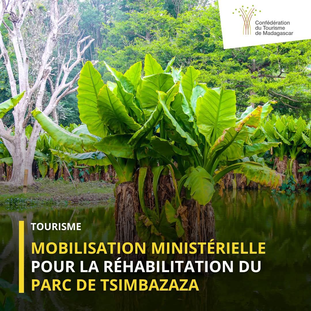 Tsimbazaza : un joyau de la biodiversité malgache en pleine renaissance ...