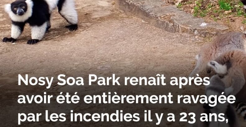 Nosy Soa Park, posé au cœur du lac de Mantasoa, s’impose aujourd’hui ...