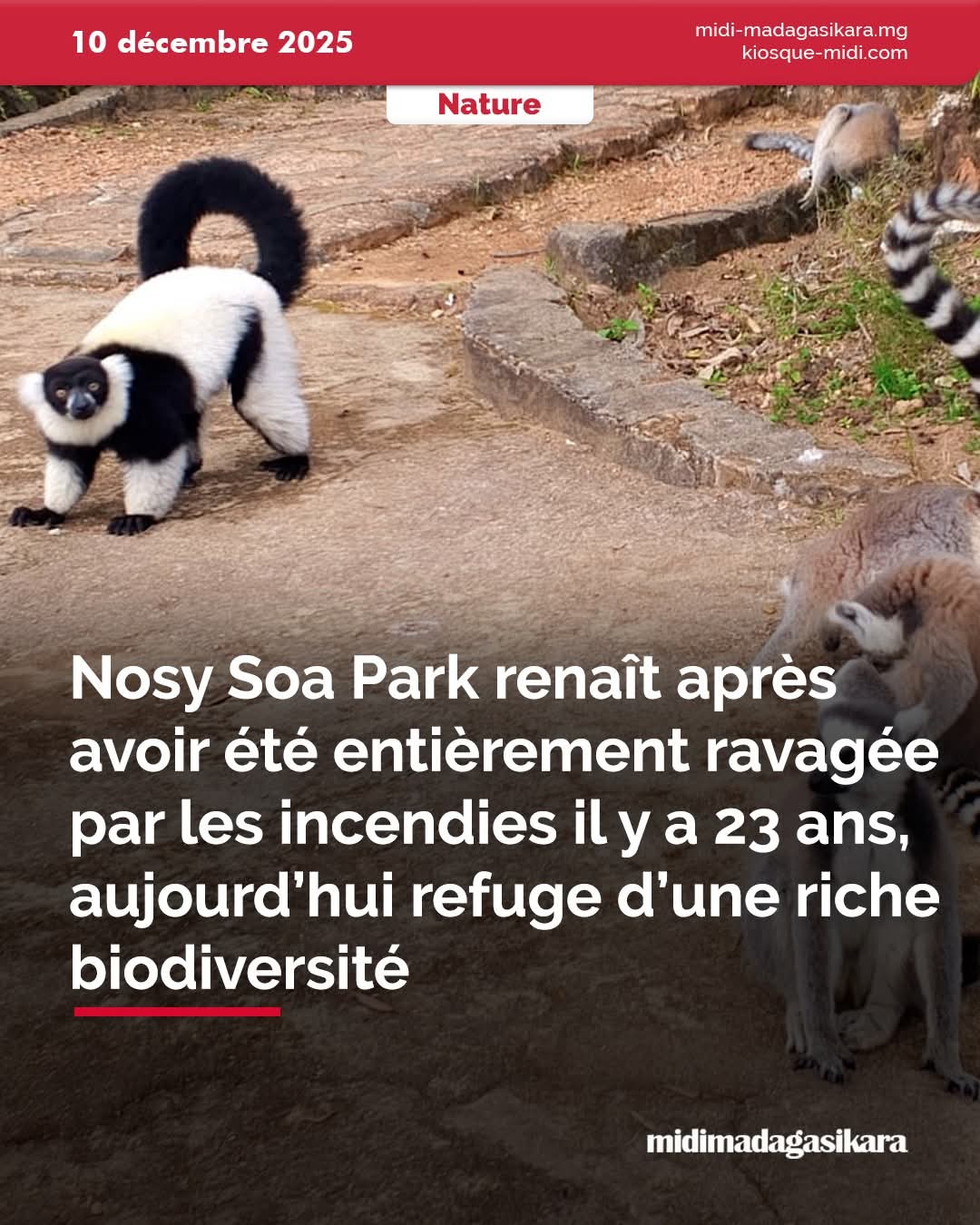 Nosy Soa Park, posé au cœur du lac de Mantasoa, s’impose aujourd’hui ...